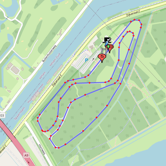 Runx Summer Run Runx 